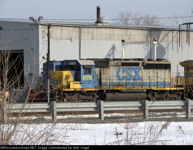 CSX 8019